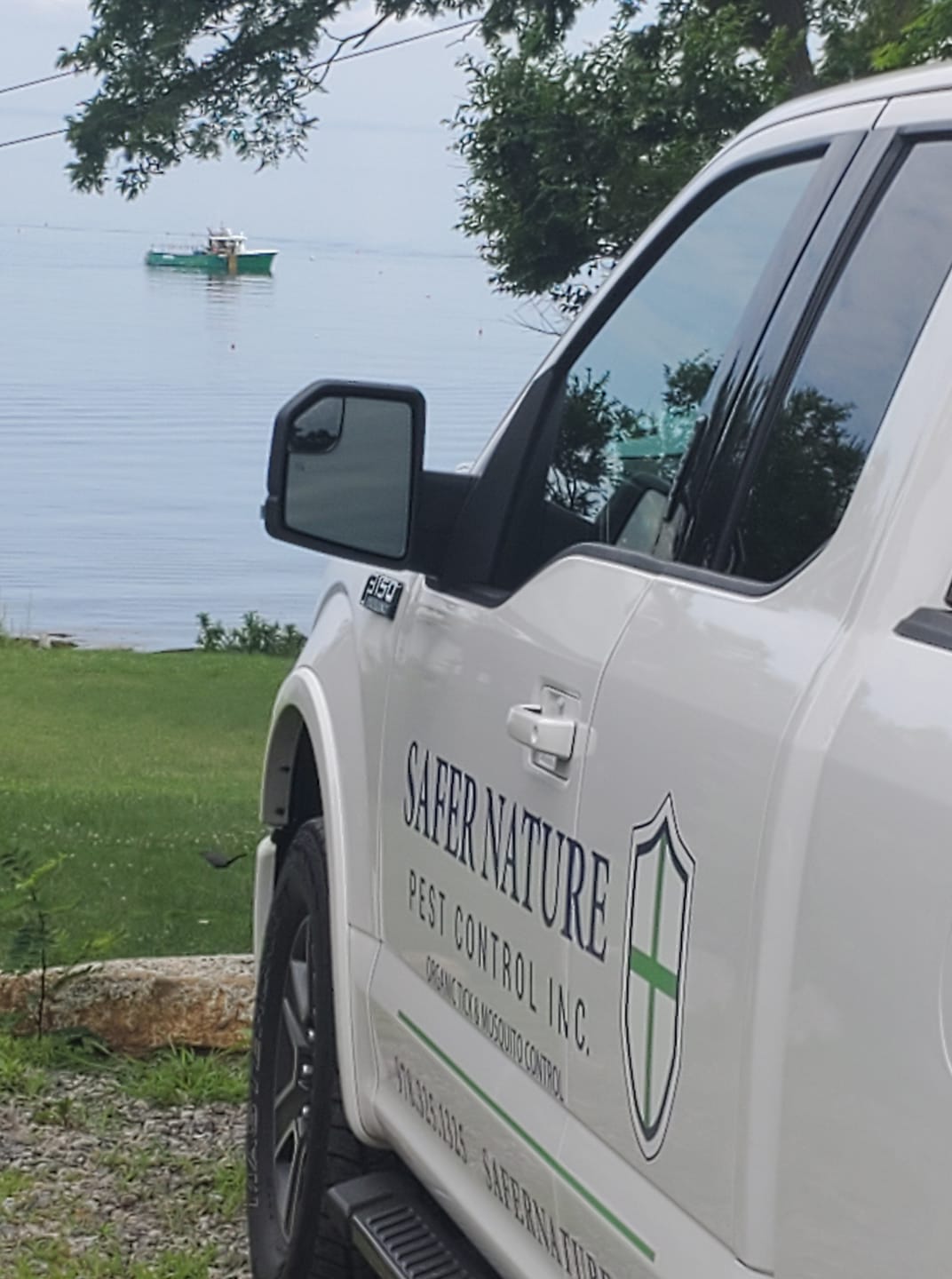 Massachusetts Organic Tick Control Services Since 2002