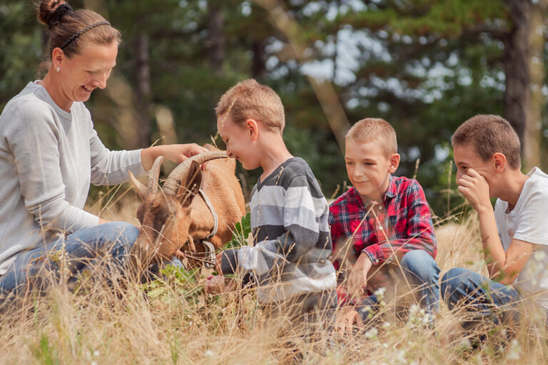 Organic Tick Control is here in North Reading this Tick Season